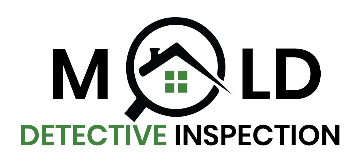 Mold Detective Inspection - Detect. Inspect. Protect.